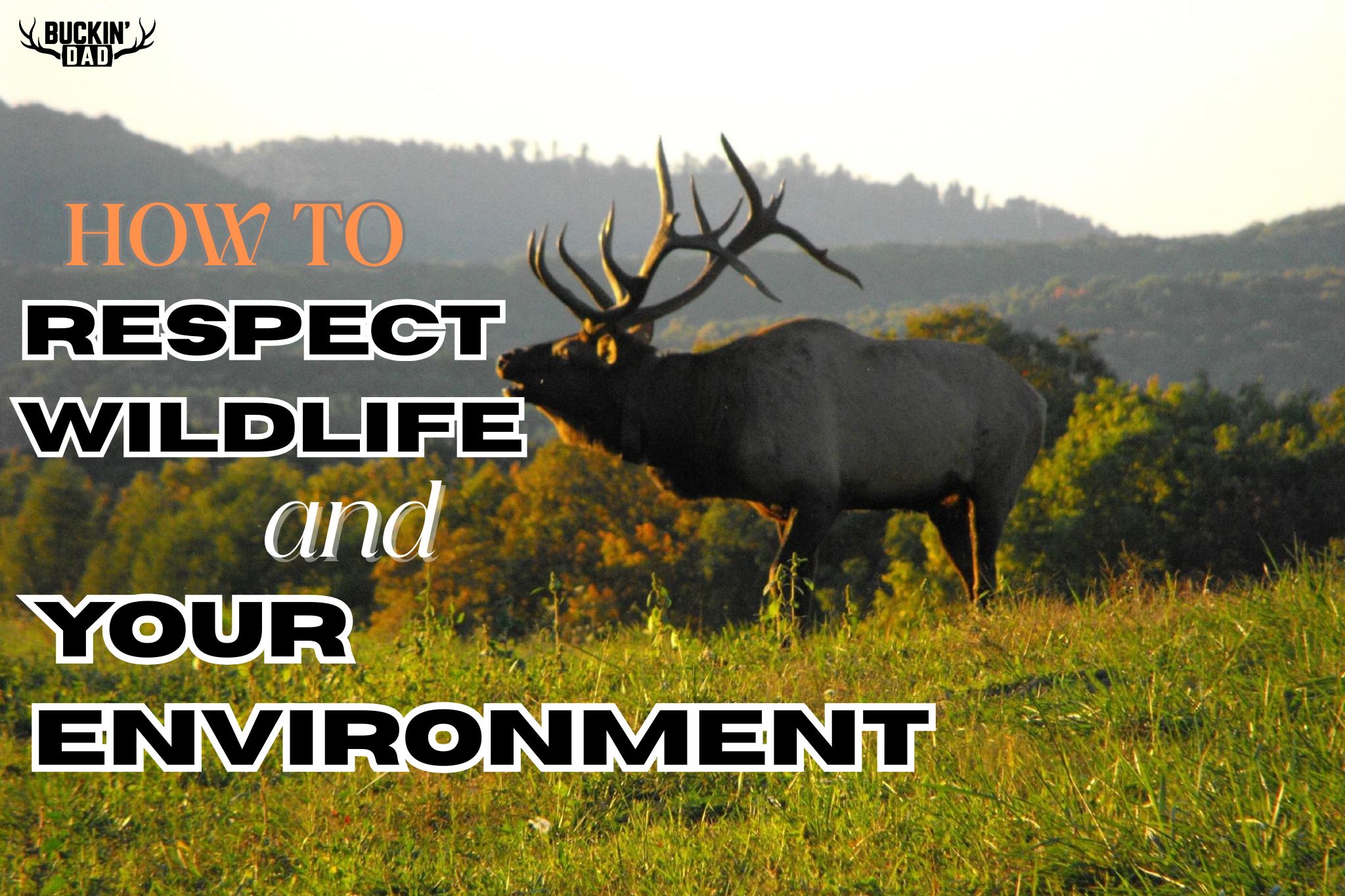 Hunting Ethics: How to Respect Wildlife and Your Environment – Buckindad